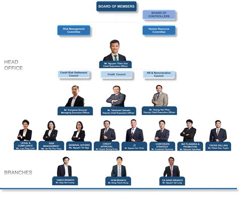 Board Of Directors Editable Organizational Chart Template On Creately