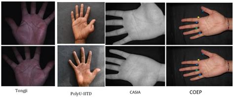 palm print recognition system using siamese network and transfer learning