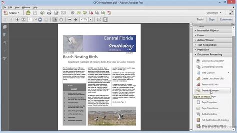 adobe acrobat xi tutorial exporting pdf contents to files youtube