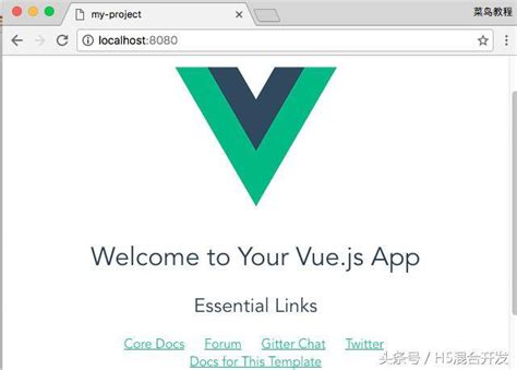 vue js 安裝—教程詳解 每日頭條