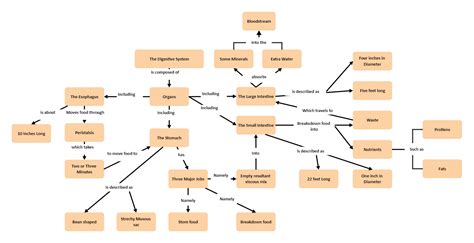 Digestive System Concept Map Map Of Zip Codes Bank2home