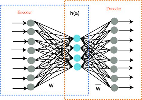 10 Autoencoder With A Single Hidden Layer An Input Layer X I An Download Scientific