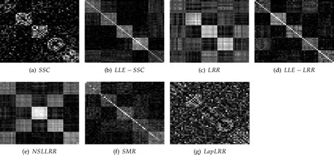 figure 1 from sparse and low rank subspace data clustering with manifold regularization learned