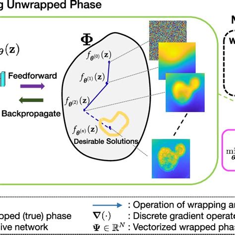 pdf robust phase unwrapping via deep image prior for quantitative phase imaging