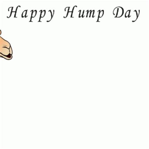 Pin On Hump Day