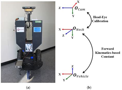 sensors free full text simultaneous calibration of odometry and head eye parameters for