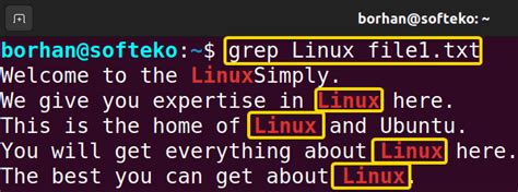 The Grep Command In Linux 10 Practical Examples