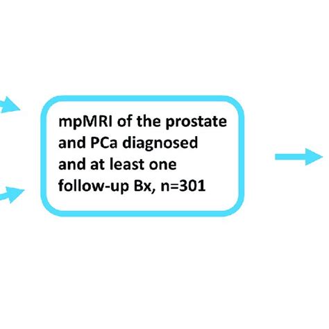 Selection Of The 76 Active Surveillance Patients Abbreviations Mpmri Download Scientific