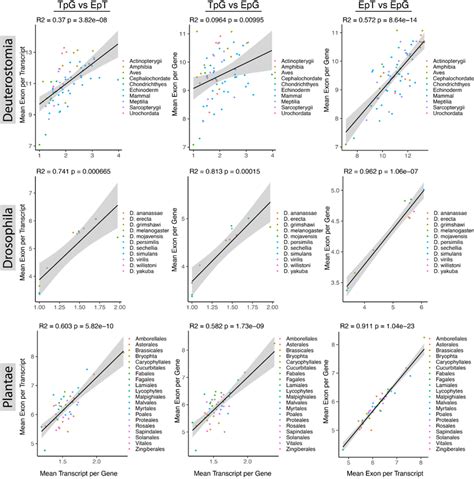 Pair Plots Comparing Complexity Metrics Metrics Are Compared Among