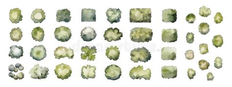 Various Green Trees Bushes And Shrubs Top View For Landscape Design