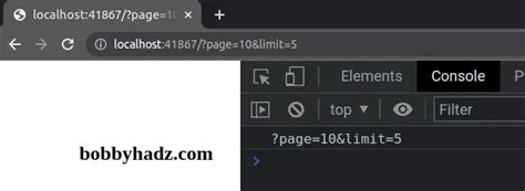 Get Protocol Domain Port Path Query Hash Using JS Bobbyhadz