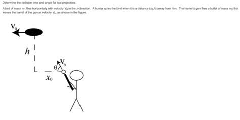 determine the collision time and angle for two projectiles a bird of mass ml flies horizontally