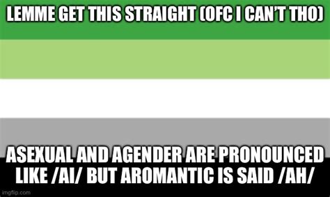 Aromantic Flag Imgflip