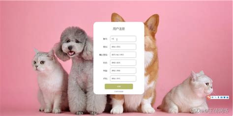 【附源码】计算机毕业设计java在线宠物救助平台设计与实现 关于宠物救助网站毕业设计 csdn博客