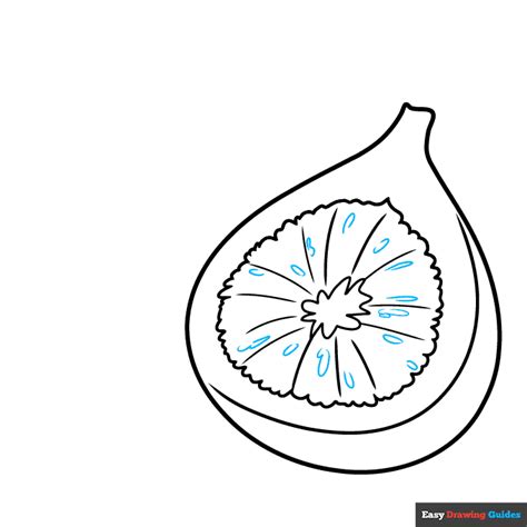 How To Draw A Fig Really Easy Drawing Tutorial