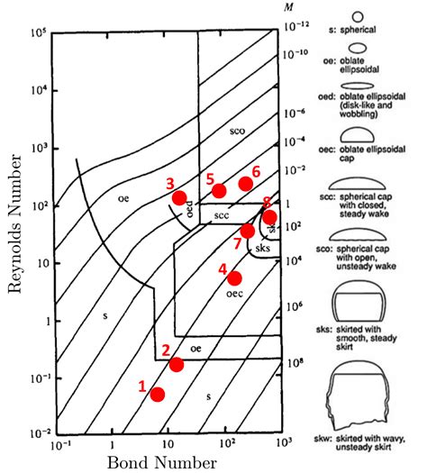 fluids free full text computational modeling of bubbles growth using the coupled level set