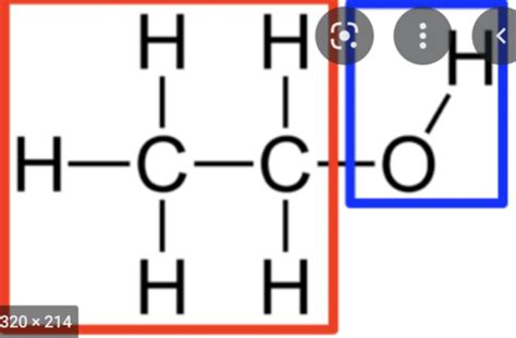 Isomers Functional Groups Chemical Bonds And Macromolecules Bio Exam