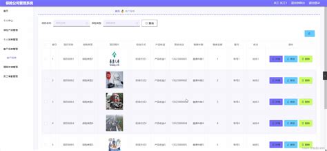 java毕设项目保险公司管理系统（java vue mybatis maven mysql） 项目案例 保险管理系统 csdn博客