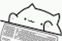 Steelseries Oled Gifs Cat