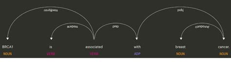 [pdf] constructing knowledge graphs and their biomedical applications semantic scholar