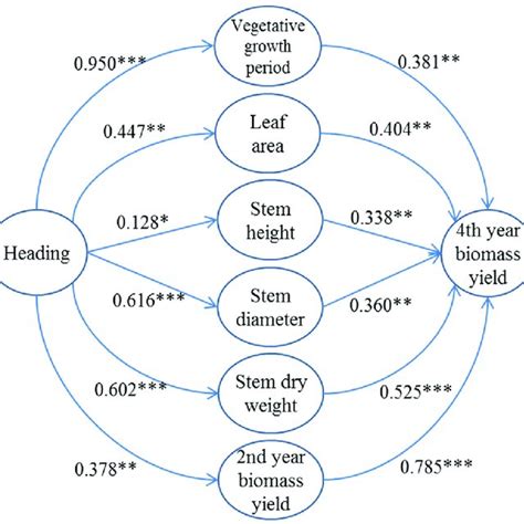 schematic representation of the correlation between phenological download scientific diagram