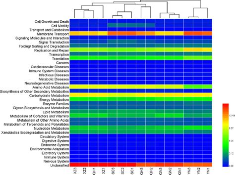 Heatmap Of Clustering Analysis Based On The Functional Genes In The