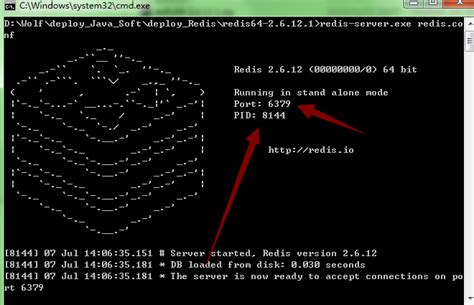 组件 （一）redis系列 安装部署redis 实现redis分布式缓存 java spring redis 龙昊雪 博客园