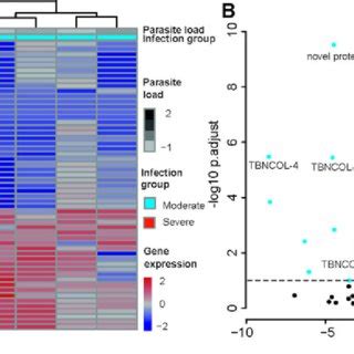 Differential Transcript Expression And GO Enrichment A Heatmap
