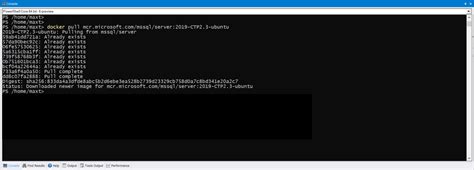 PowerShell Core Updating Your SQL Server Linux Docker Containers