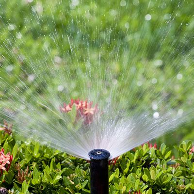 How To Choose An Irrigation Timer The Home Depot