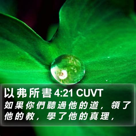 Cuvt