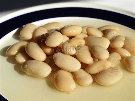 豆沙拉生物沙拉扁豆饮食黄豆营养食物大豆蔬菜豆类高清图片下载 正版图片320257604 摄图网