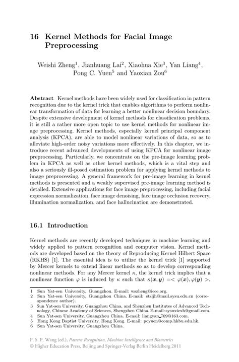 pdf kernel methods for facial image preprocessing