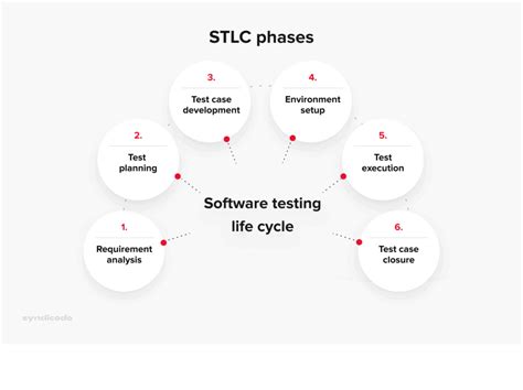 what is a software testing life cycle and why do you need it
