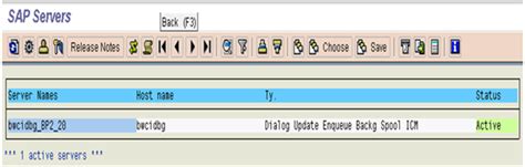 basis and others sap monitoring and performance checks complete tutorial with tcodes