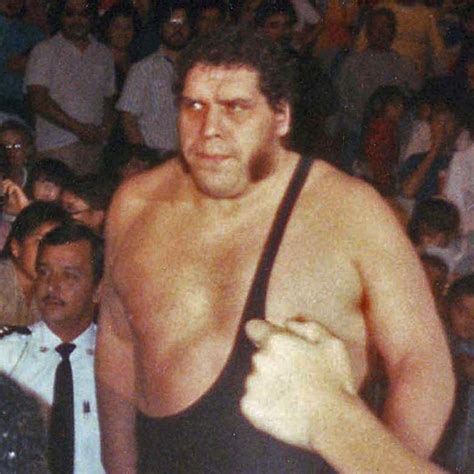 Andre The Giant Once Did The Worlds Biggest Poo On A Plane Leaving Passengers Gagging Indy100
