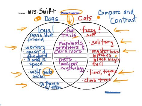 Comparison And Contrast Venn Diagram