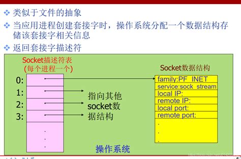 计网学习笔记十 socket编程 csdn博客