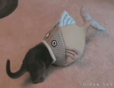 Adorable Lovely WiffleGif