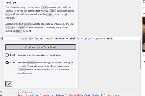 learn html by building a cat photo app step 56 html css the freecodecamp forum