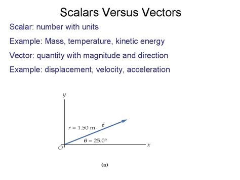 lecture 3 free fall vectors in physics sections