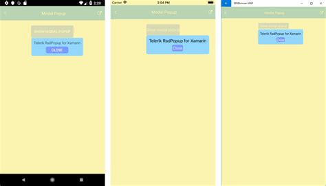 Xamarin Popup Documentation Key Features Telerik UI For Xamarin