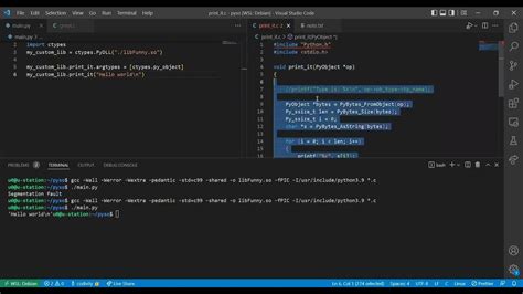3 python c api walkthrough youtube