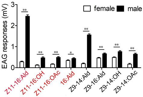 Frontiers Functional Characterization Of Sex Pheromone Neurons And