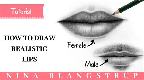 How To Draw A Man S Lips Lipstutorial Org