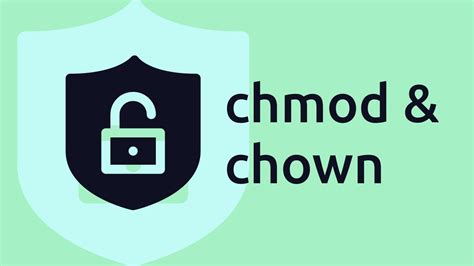 How To Use CHMOD And CHOWN Command Managing The File Permissions And