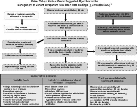 fetal heart rate pattern notification guidelines and suggested management algorithm for