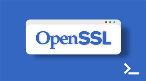 OpenSSL Commands A Complete List With Examples Tech Quintal