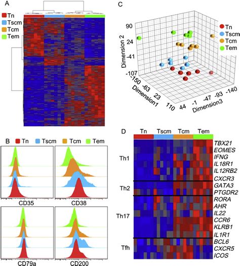 tscm was a distinct subset between tn and tcm a cdna from sorted cd4 download scientific