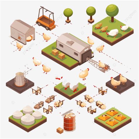 Poultry Farm Isometric Flowchart Technology Food Natural PNG